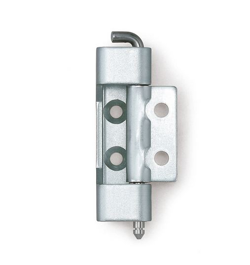 Concealed Pivot Hinge